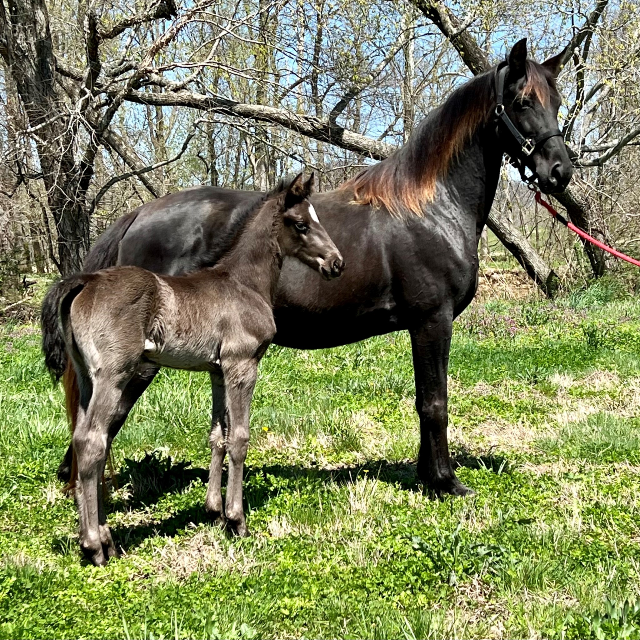 13) CHI CHI LARUE 20901852 – 3 In 1 Package -Jose’ X Doing TIme Mare ...