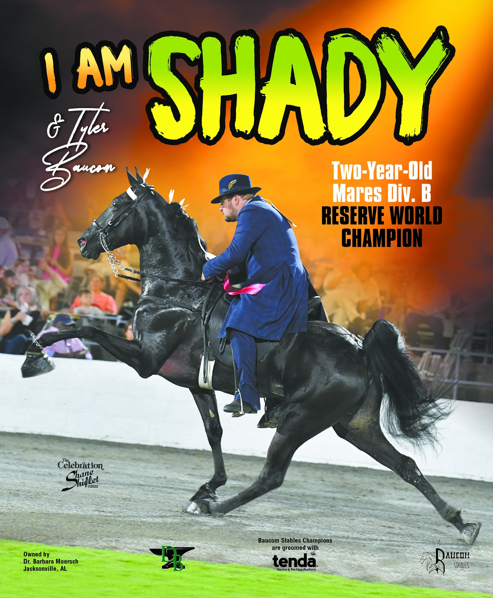 17) SHADOW’S OF SHADY 22102495 -A yearling daughter of WGC He’s Slim ...