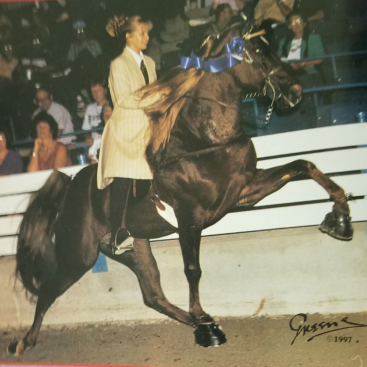 23) MYSTIC MIND’S LADY 20510560 – A daughter of World Champion Mind ...