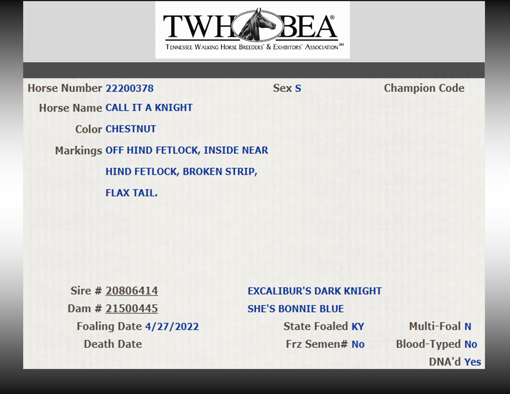 23) CALL IT A KNIGHT – A colt sired by Excalibur’s Dark Knight out of ...