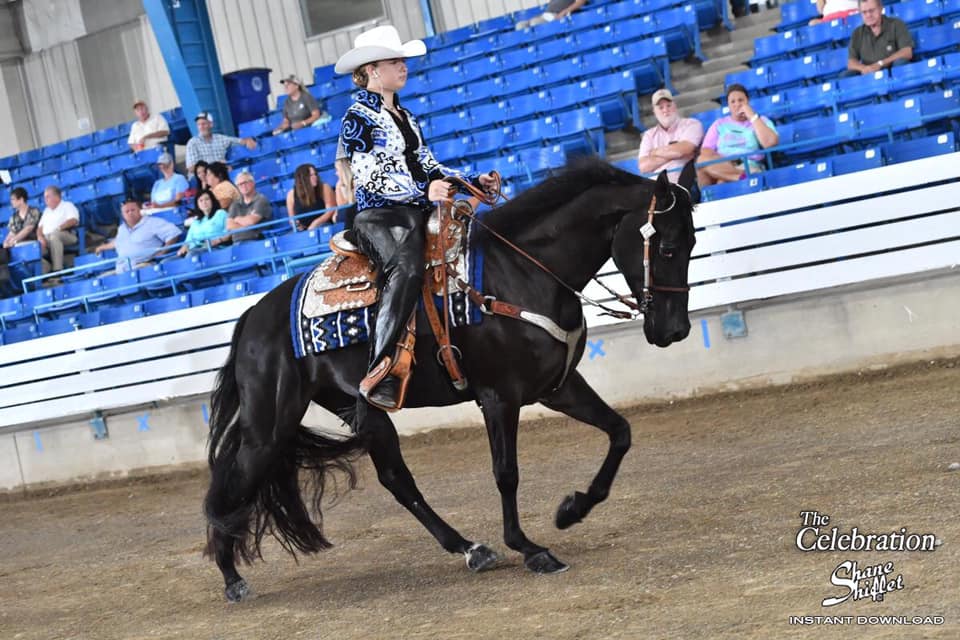 23) CALL IT A KNIGHT – A colt sired by Excalibur’s Dark Knight out of ...