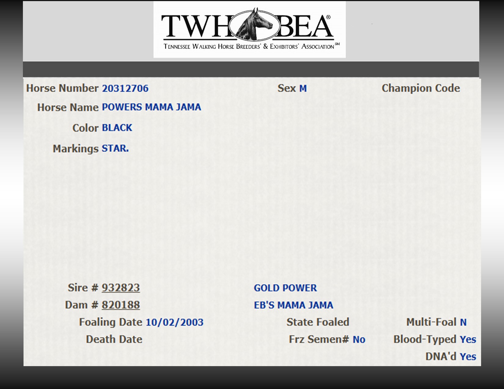 47) POWERS MAMA JAMA 20312706 – A daughter of Gold Power out of a Ebony ...