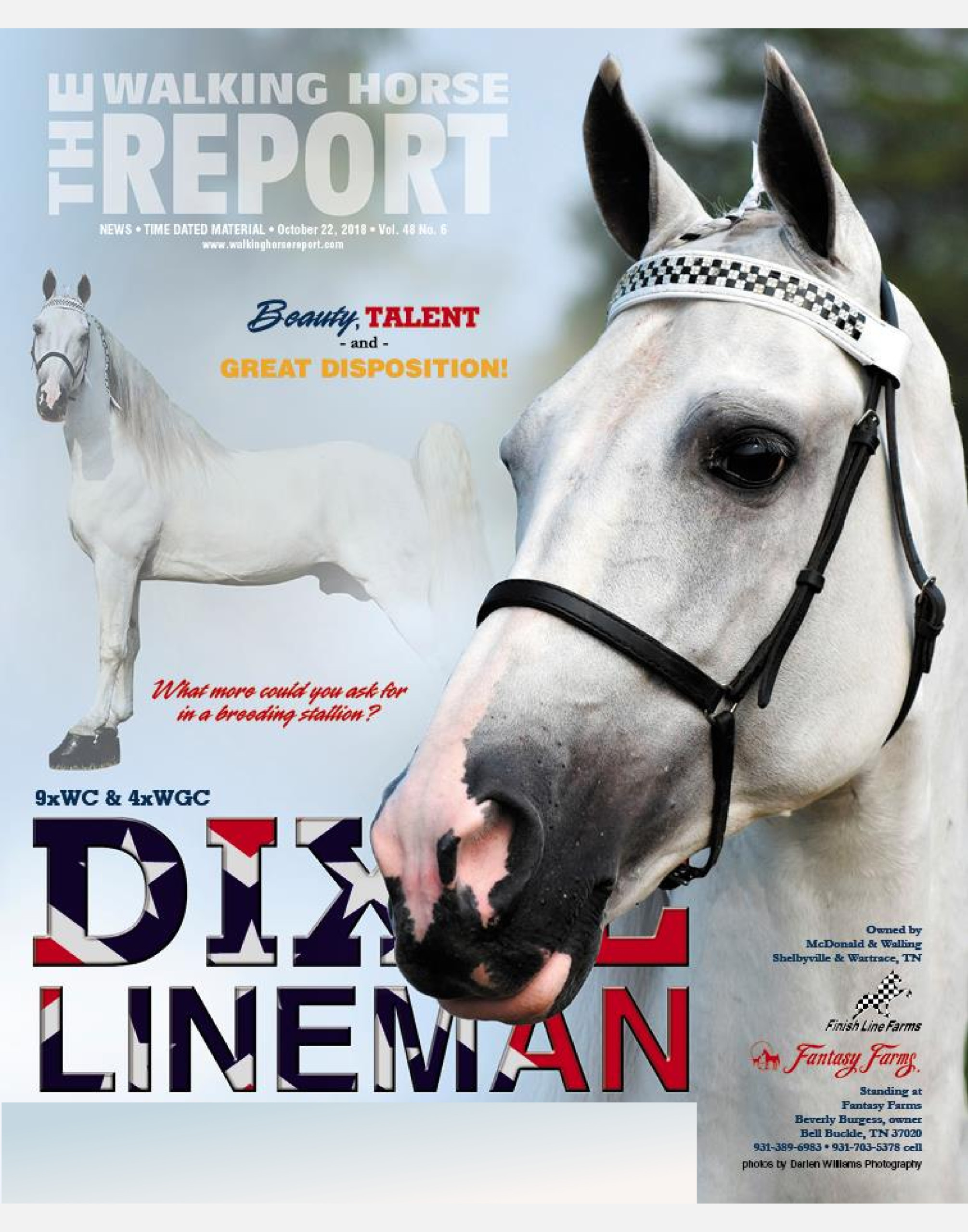 68) THE DIXIE LINE DANCER 22000821 – Blue Ribbon winning daughter of ...