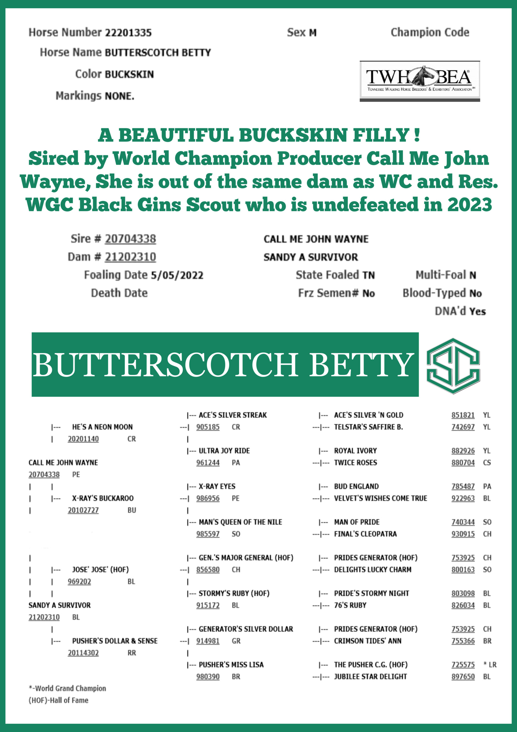 B-11) BUTTERSCOTCH BETTY – A beautiful BUCKSKIN yearling filly sired by ...