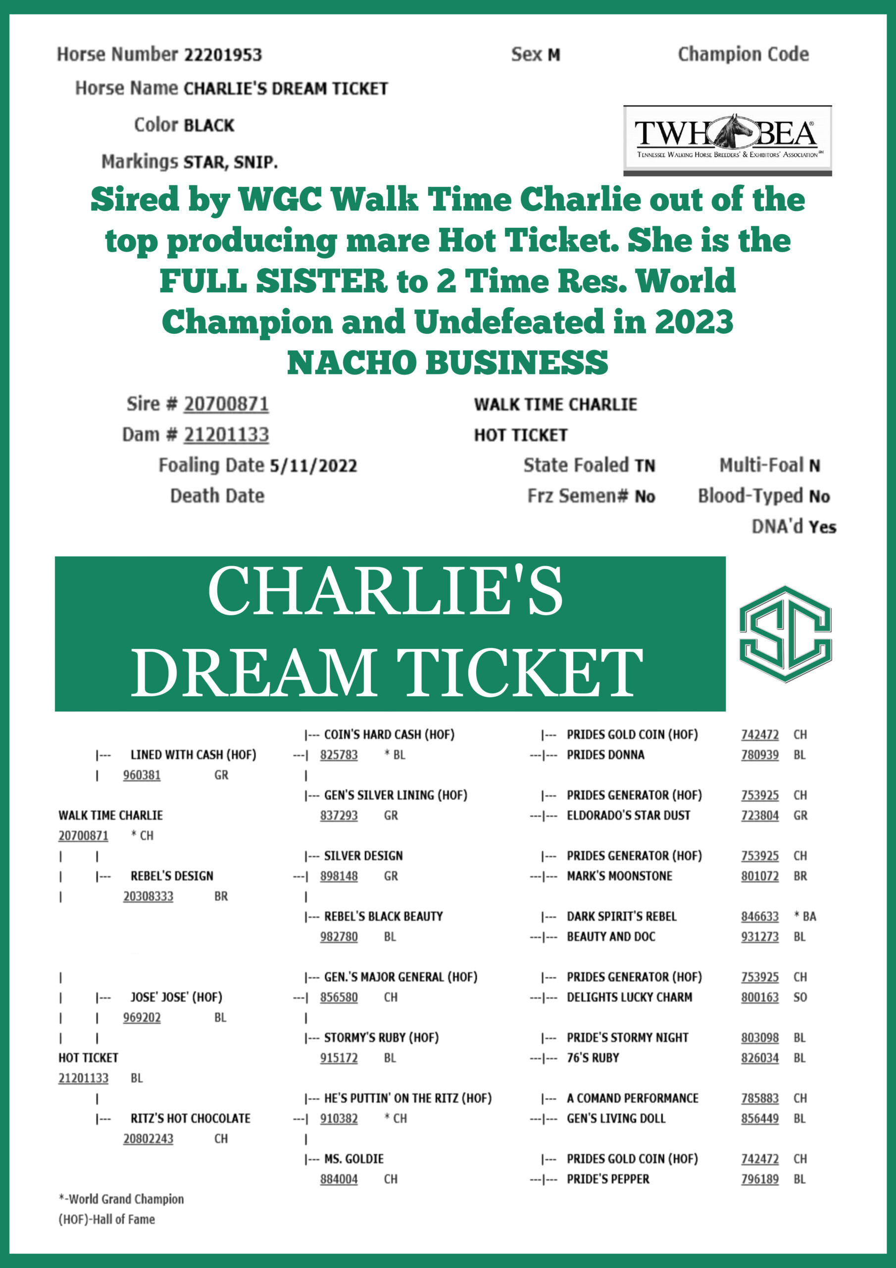 B-51) CHARLIE’S DREAM TICKET – A yearling filly sired by WGC Walk Time ...