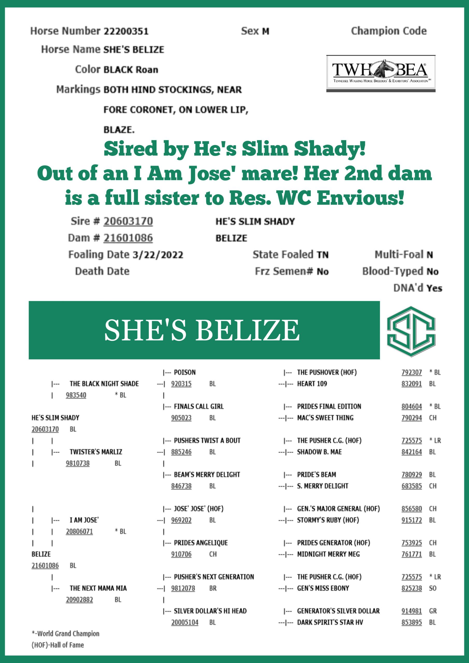 B-48) SHE’S BELIZE – A yearling filly sired by WGC He’s Slim Shady out ...