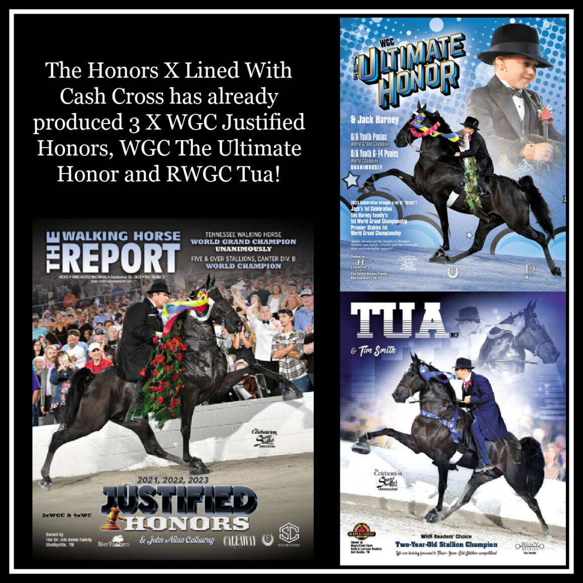 37) Pending Registration ’23 Lined In Bama X Honors – This colt is ...