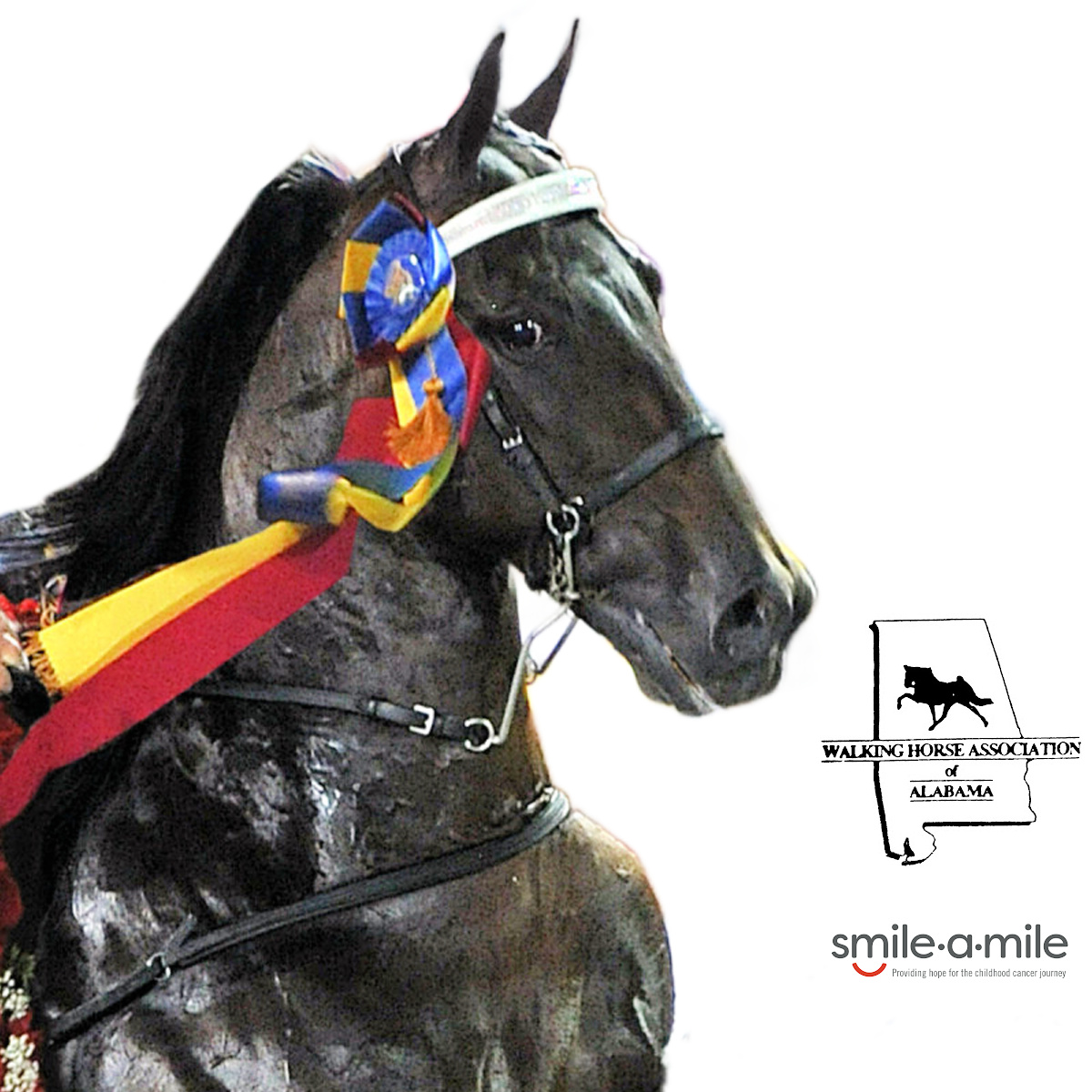 SF-25) A Stallion Fee to Knock ‘Em Ted to be auctioned on behalf of the ...