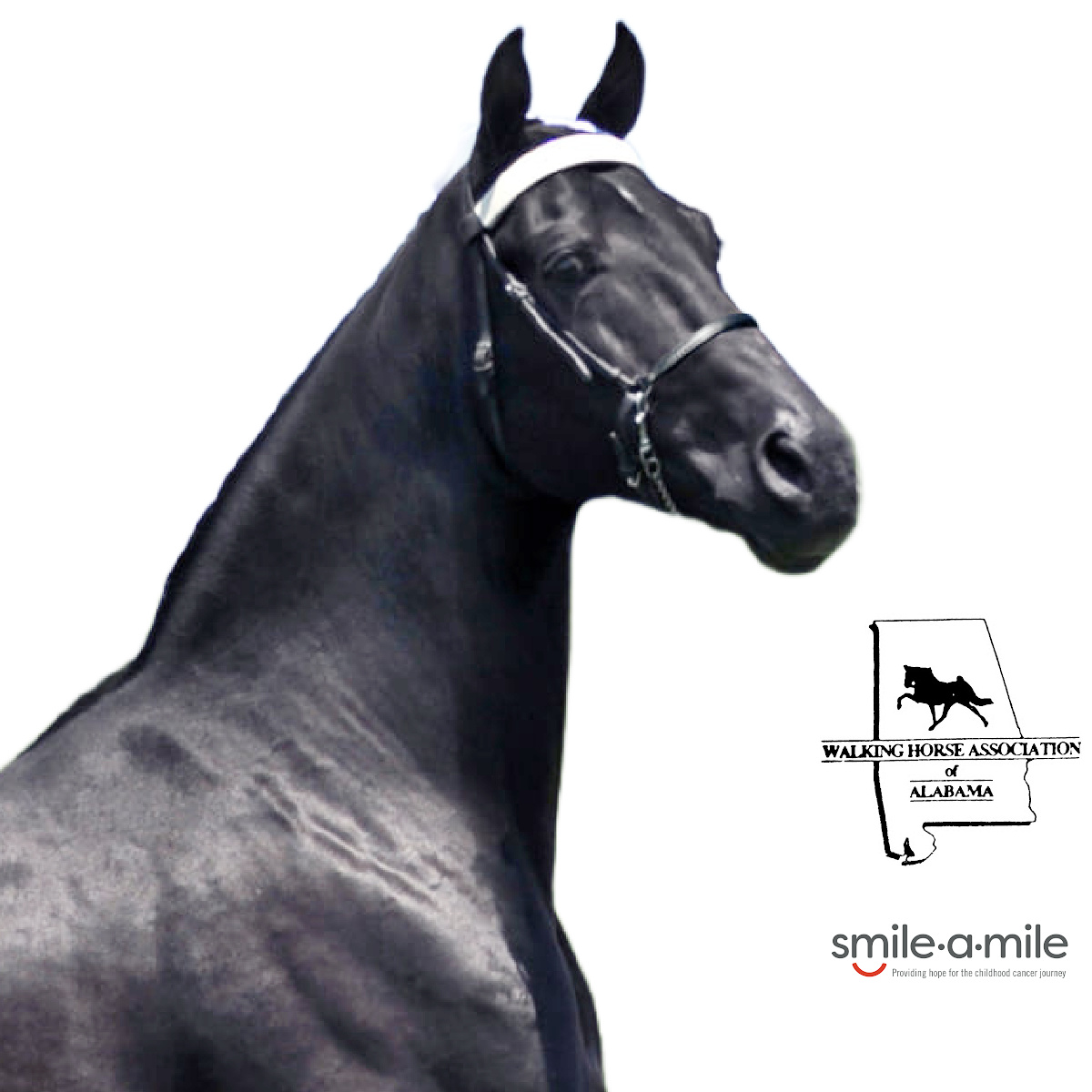 SF-21) A Stallion Fee to Play Something Country to be auctioned on ...