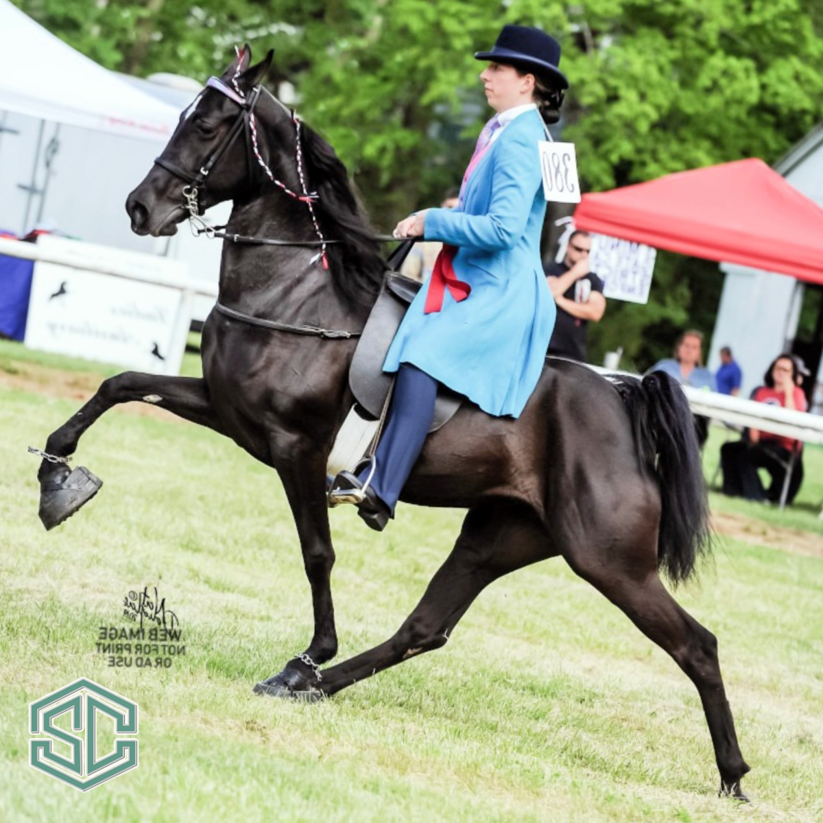 61) MILADY GEN 21401250 – SHE’S SO CUTE! Don’t let her size fool you ...