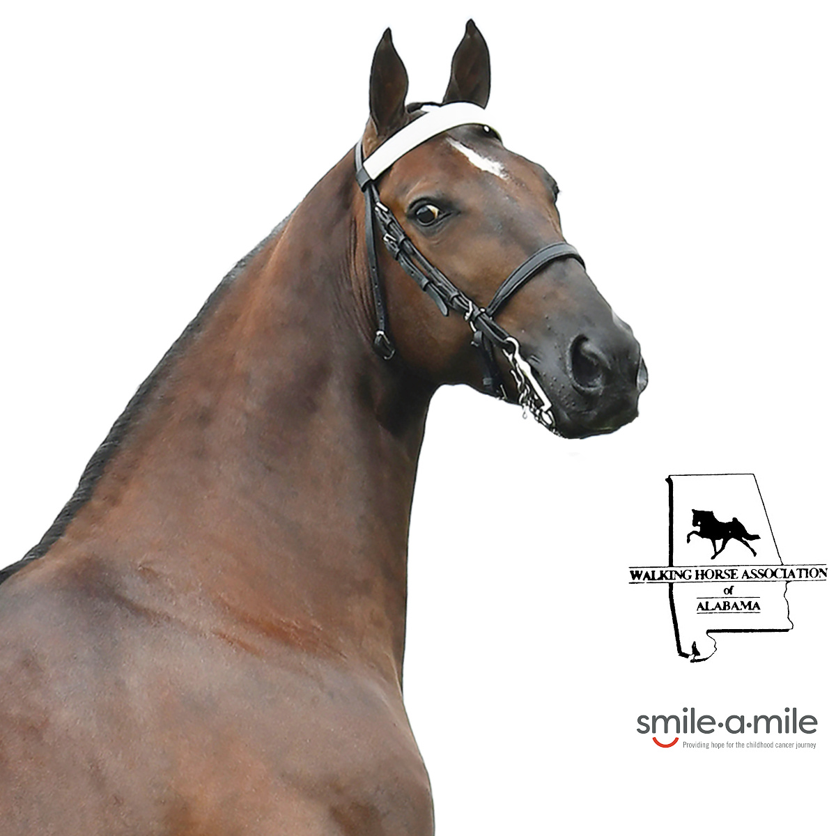 SF-37) A Stallion Fee to Cavender to be auctioned on behalf of the ...